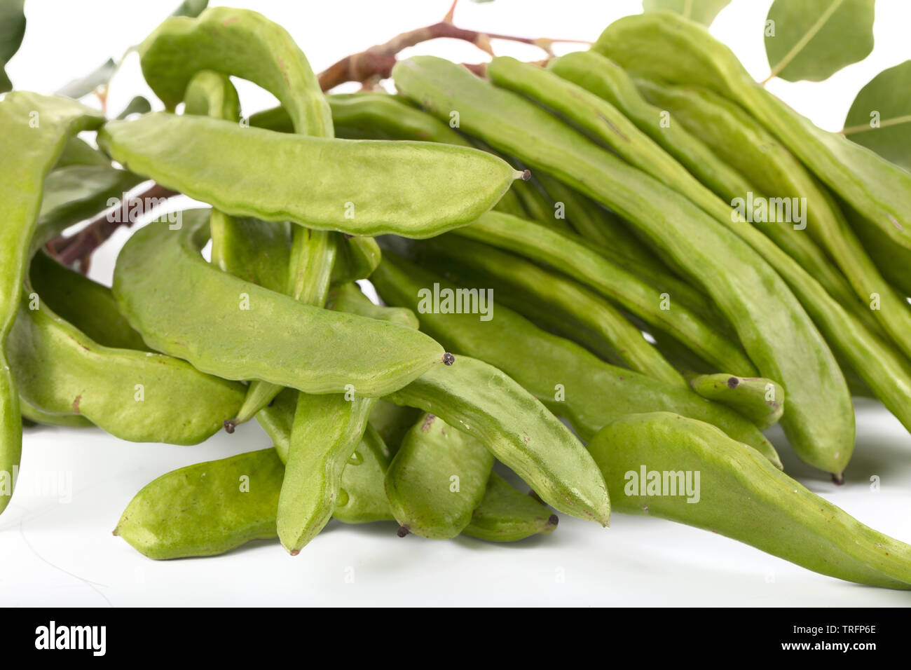 Green carob pods isolated on white background.Ceratonia siliqua ...