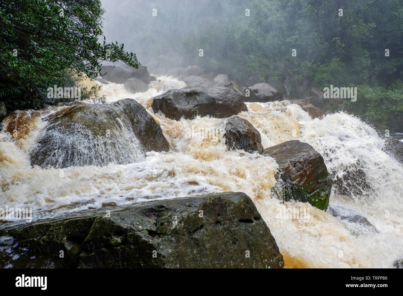 Water flood on river after heavy rain rapids water flow copiously from ...