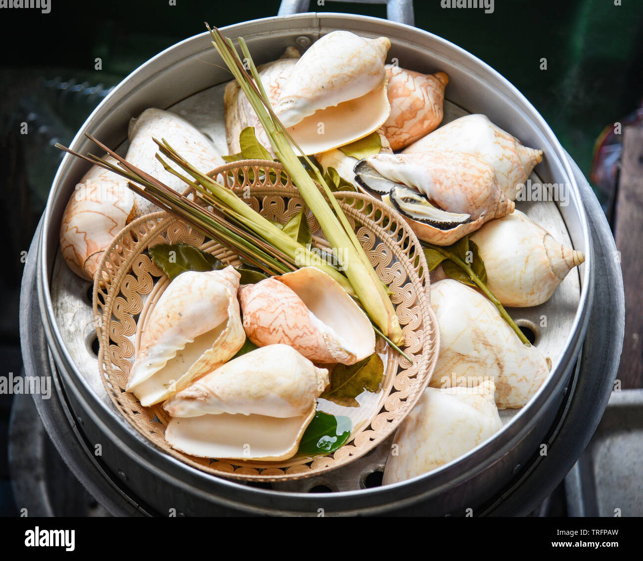 Conch shell steamed with herb spices on steaming pot for food in the ...