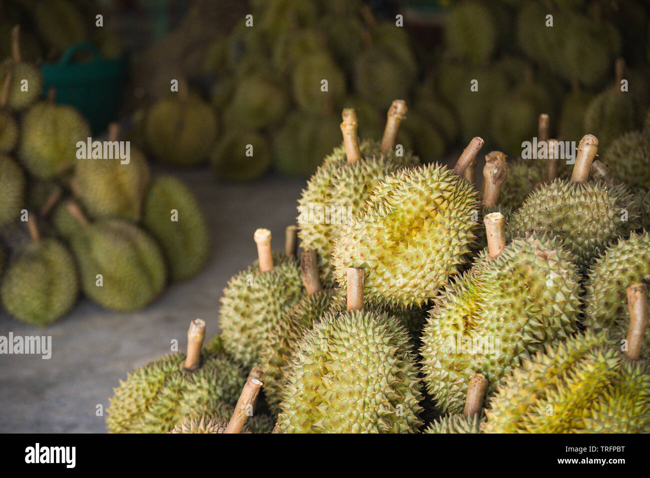 Durian tropical fruit on texture background for sale in the fruit ...