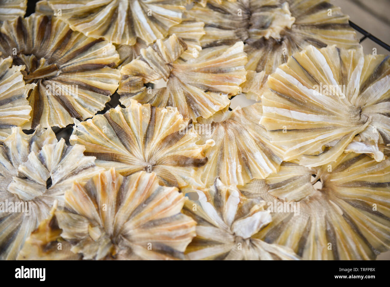 dried fish circle background / food preservation of fish and aquatic ...