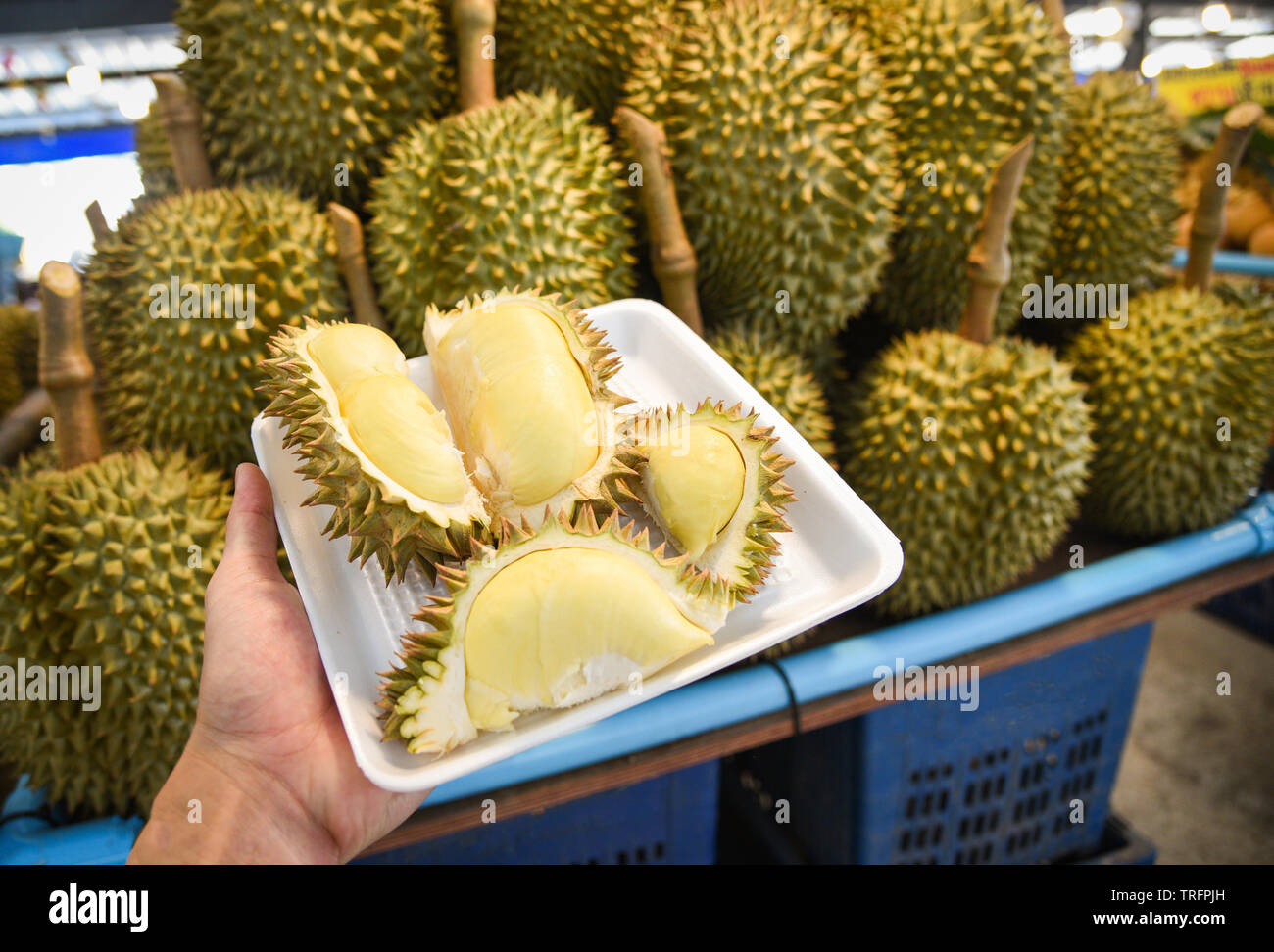 Fresh durian peeled on tray in hand and ripe durian tropical fruit on ...