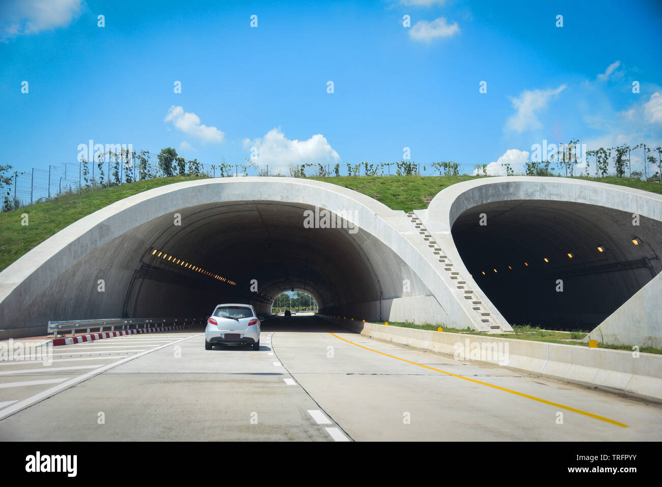 Animal crossing road tunnel hi-res stock photography and images - Alamy