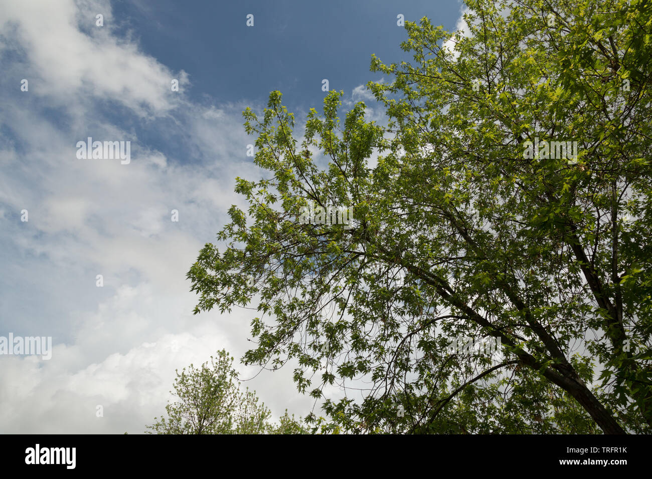 Indiana summer hi-res stock photography and images - Alamy