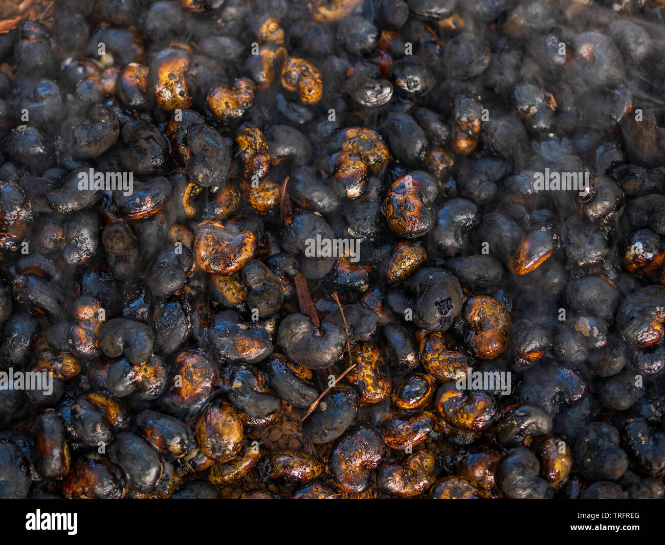 Cashew Nuts with shells roasted in fire Stock Photo - Alamy