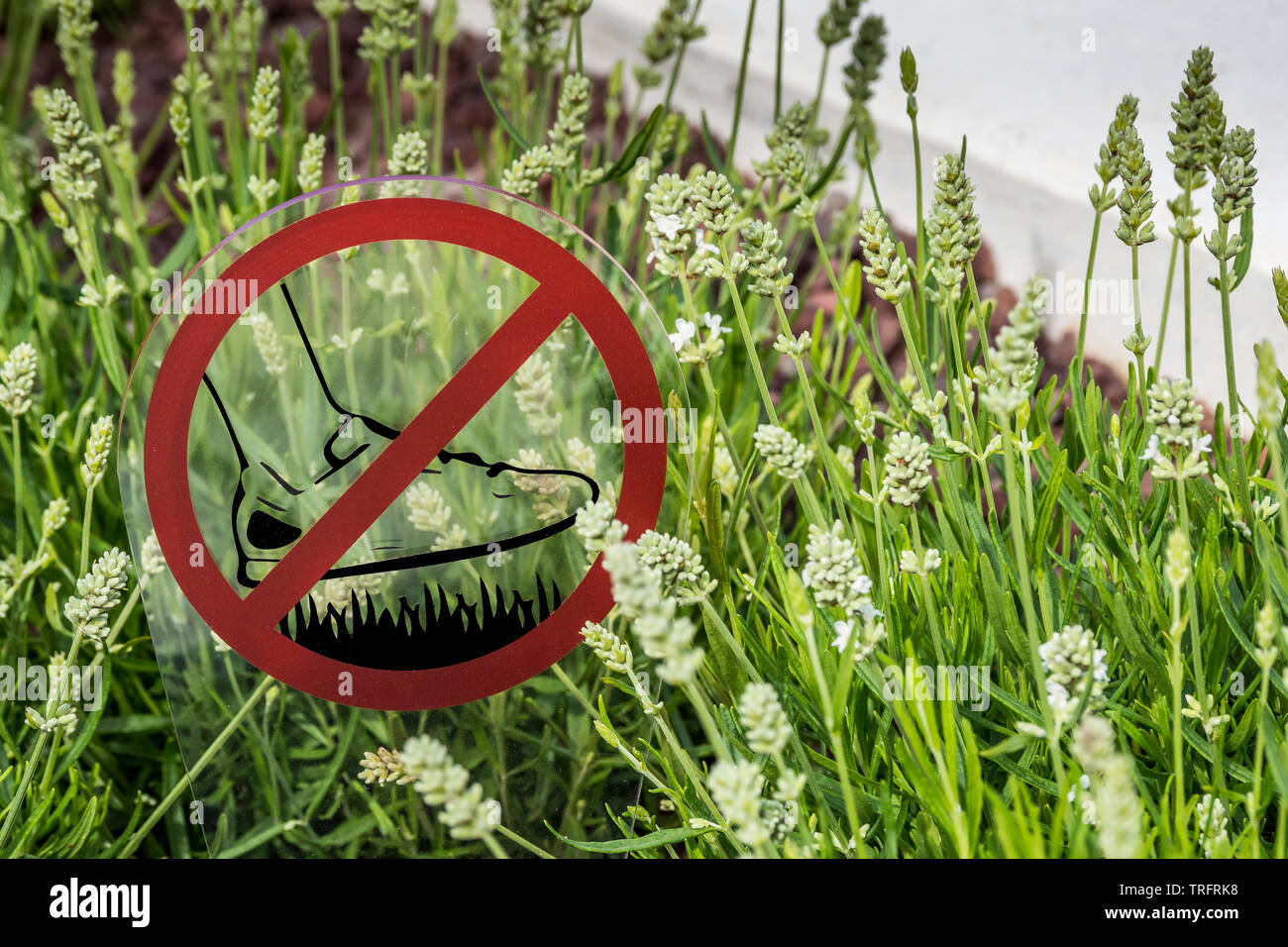 Sign forbidden park on hi-res stock photography and images - Alamy