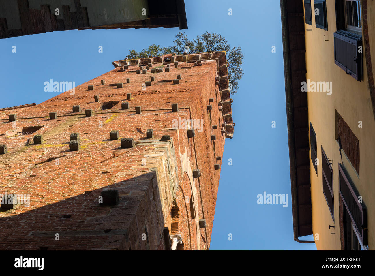 Tower of palazzo guinigi hi-res stock photography and images - Alamy