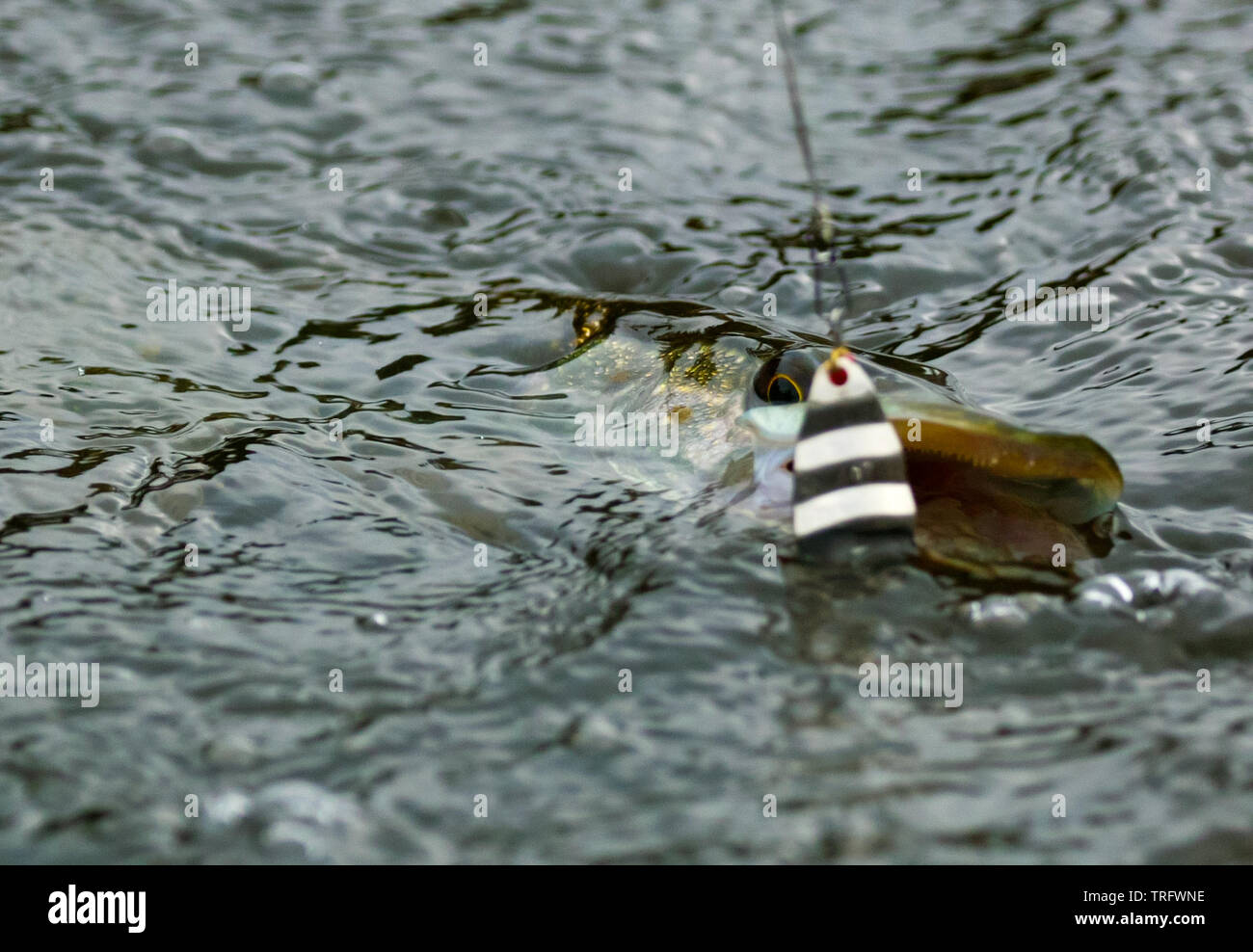 Snot rocket hi-res stock photography and images - Alamy