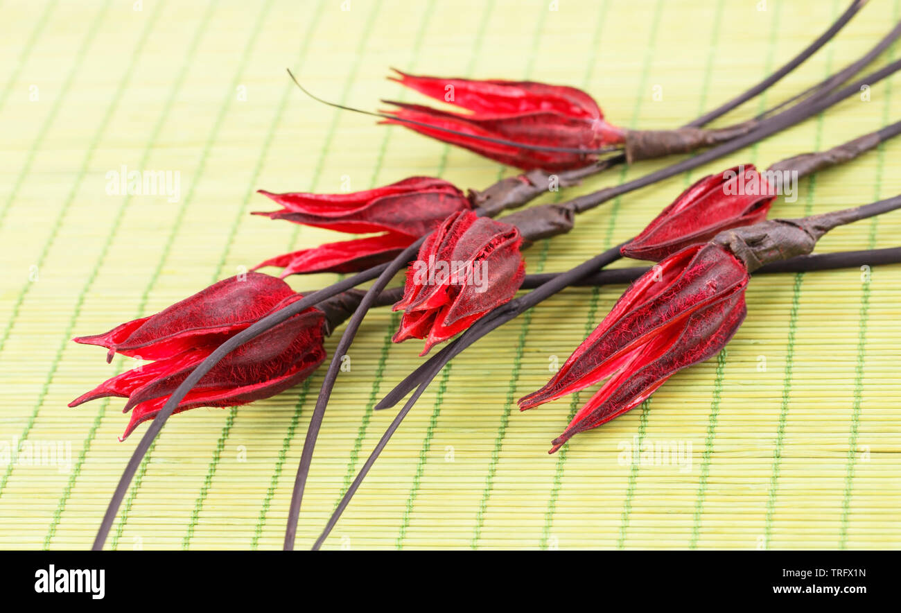 Red dried flowers on bamboo background Stock Photo - Alamy