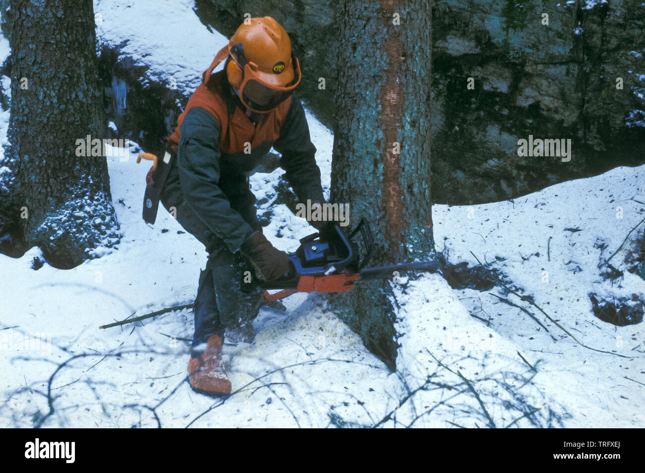 Skogsarbeider hi-res stock photography and images - Alamy