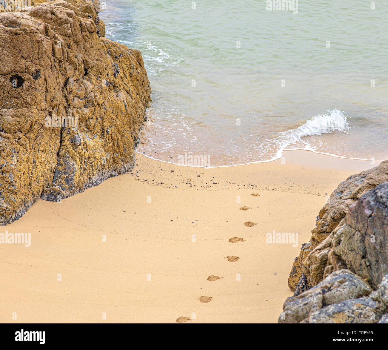 In image of an inlet on a beach in St Ives in Cornwall with rocks and ...
