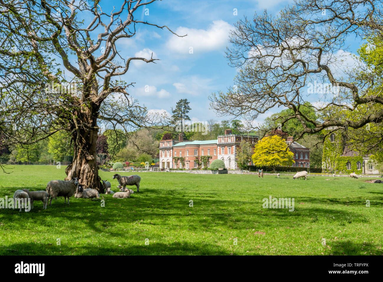 Okeover hall hi-res stock photography and images - Alamy