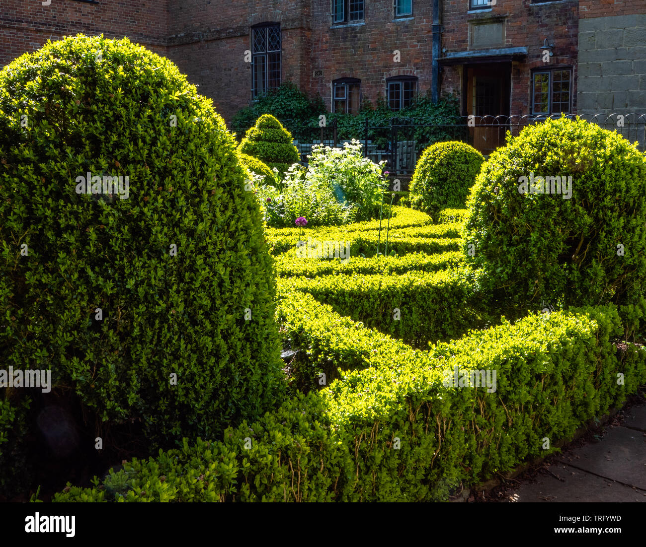 Box parterre hi-res stock photography and images - Alamy