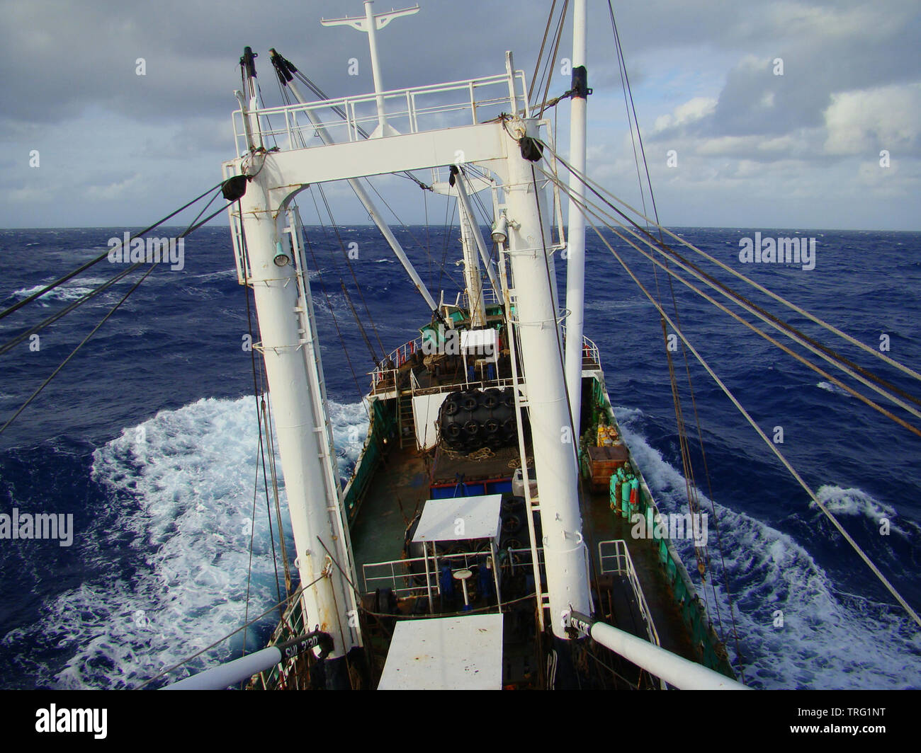 Transshipment tuna hi-res stock photography and images - Alamy
