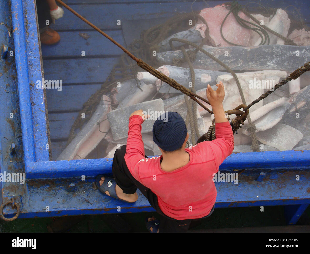 Crewmen prepare a fish transhipment from an Asian-flagged tuna ...