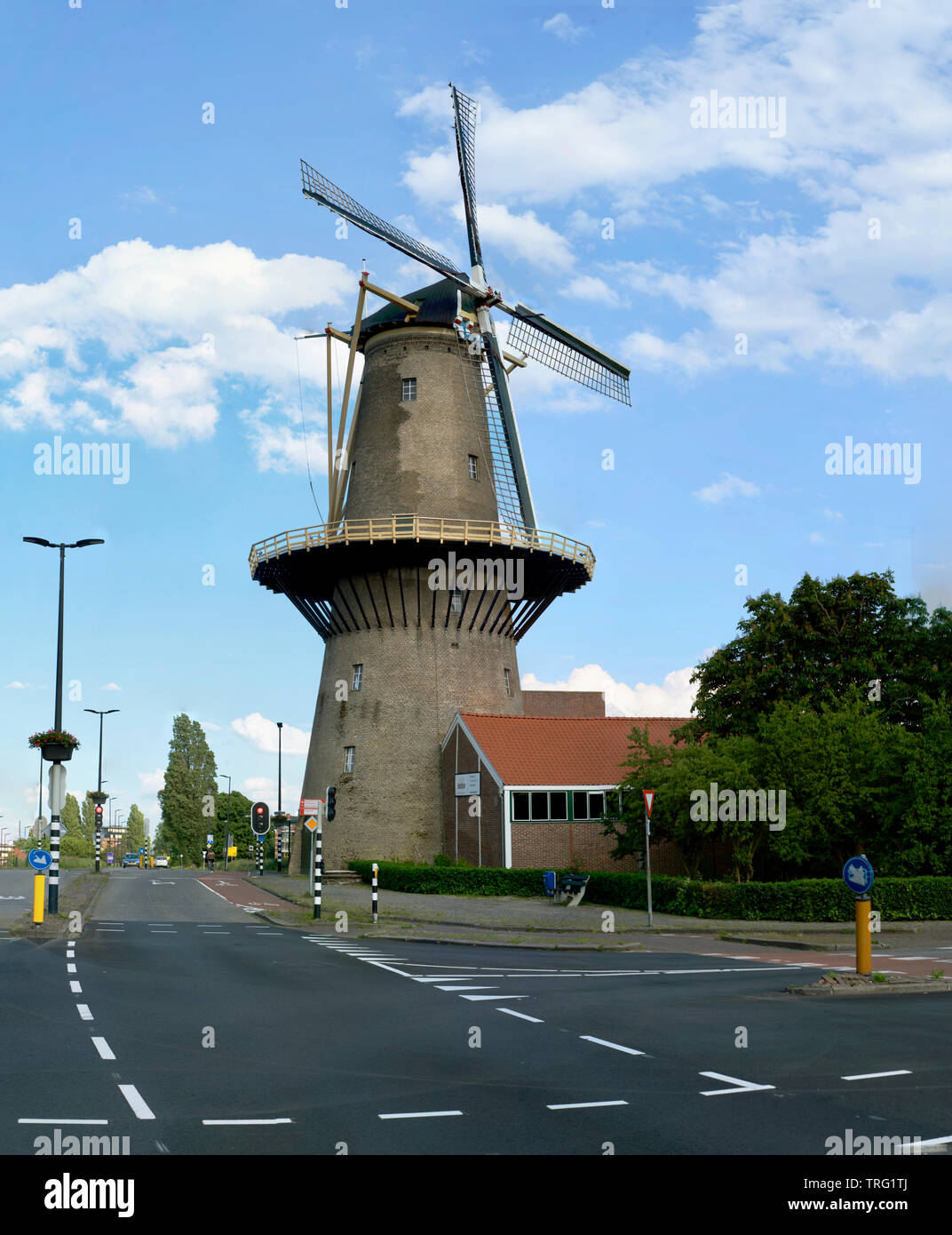 Emous hi-res stock photography and images - Alamy