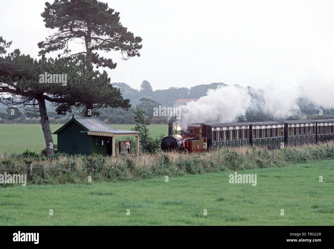 Steam locomotive approaching Ballabeg Halt on the Isle of Man Railway ...