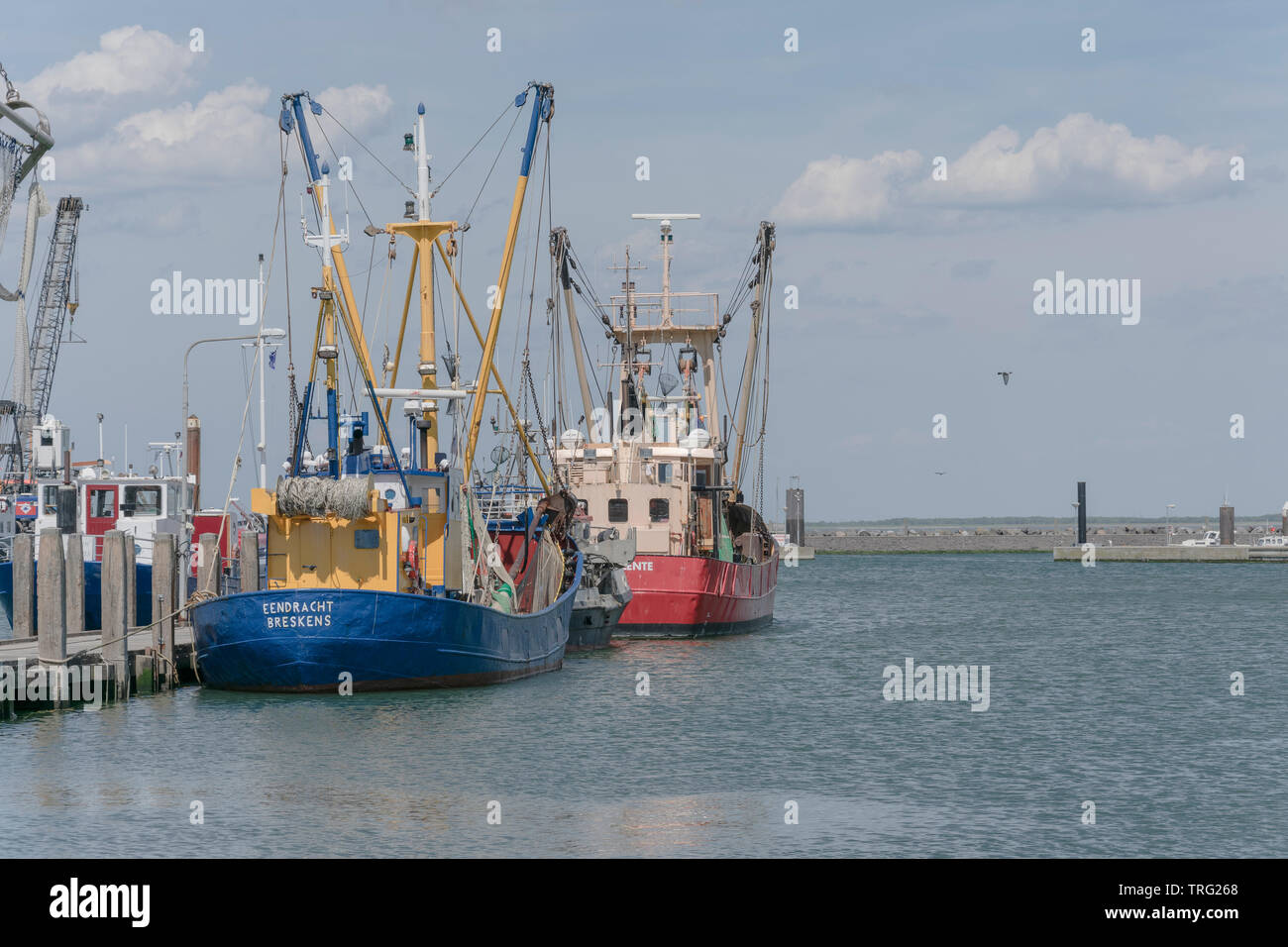 Breskens, Netherlands, June 2, 2019, two fishing boats in the port of ...
