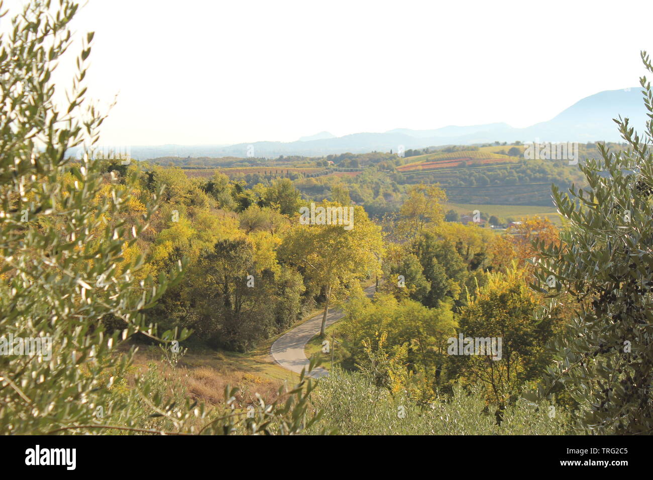 Italian hillside view landscape in autumn Stock Photo - Alamy