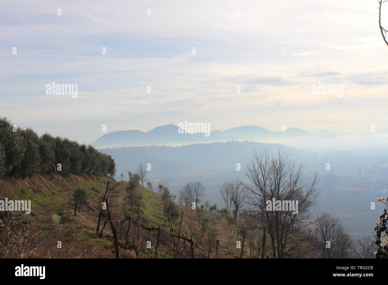 Italian hillside view landscape in autumn Stock Photo - Alamy