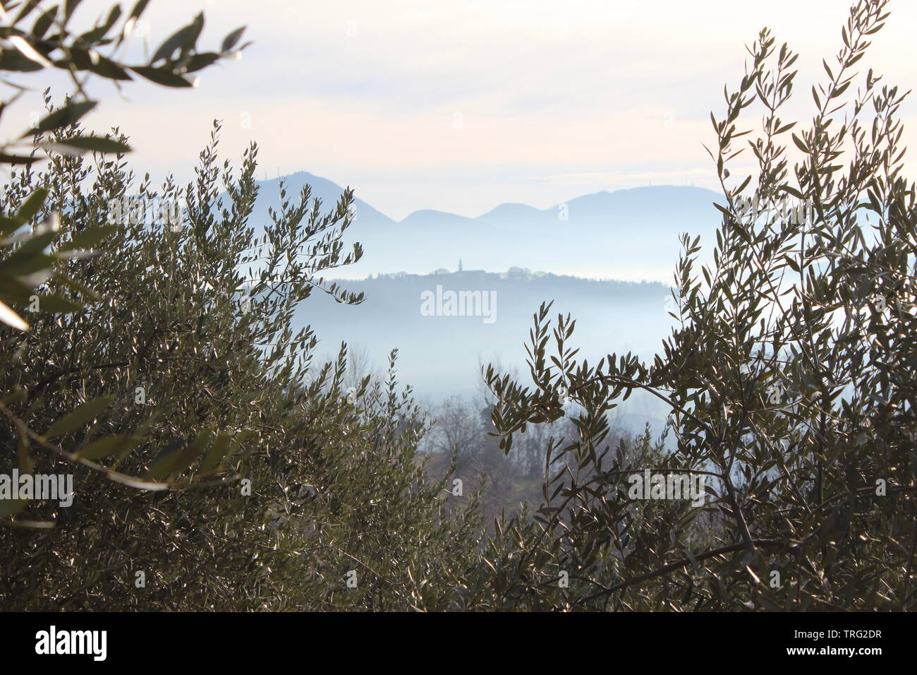 Italian hillside view landscape in autumn Stock Photo - Alamy