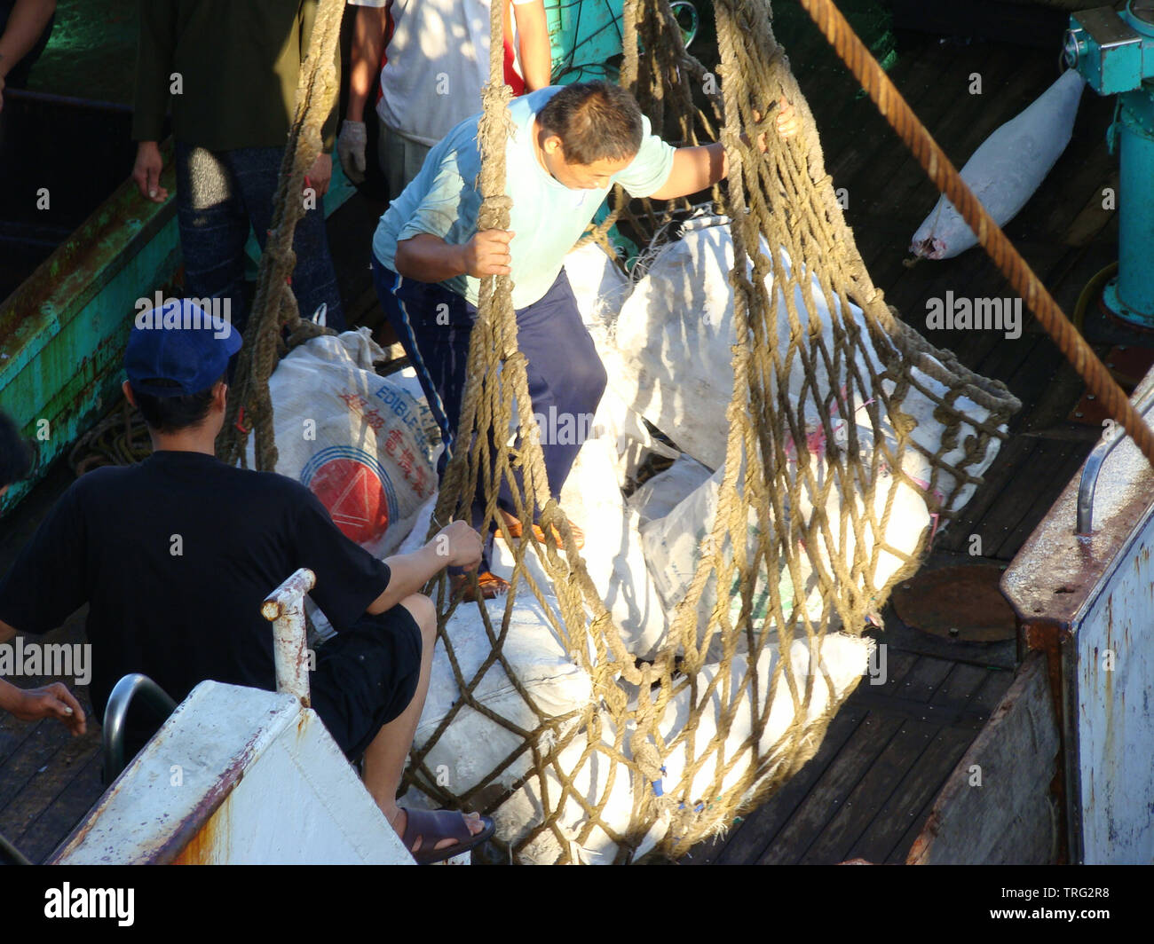 Crewmen prepare a fish transhipment from an Asian-flagged tuna ...