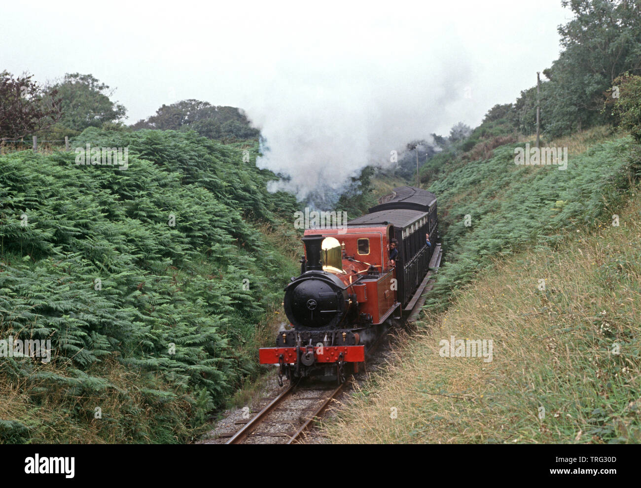 Steam locomotive from the Isle of Man Railway making its way through a ...