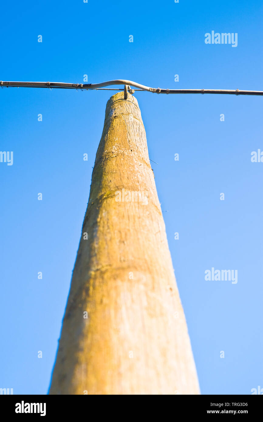 Wooden telephone pole seen from below against a blue background Stock ...