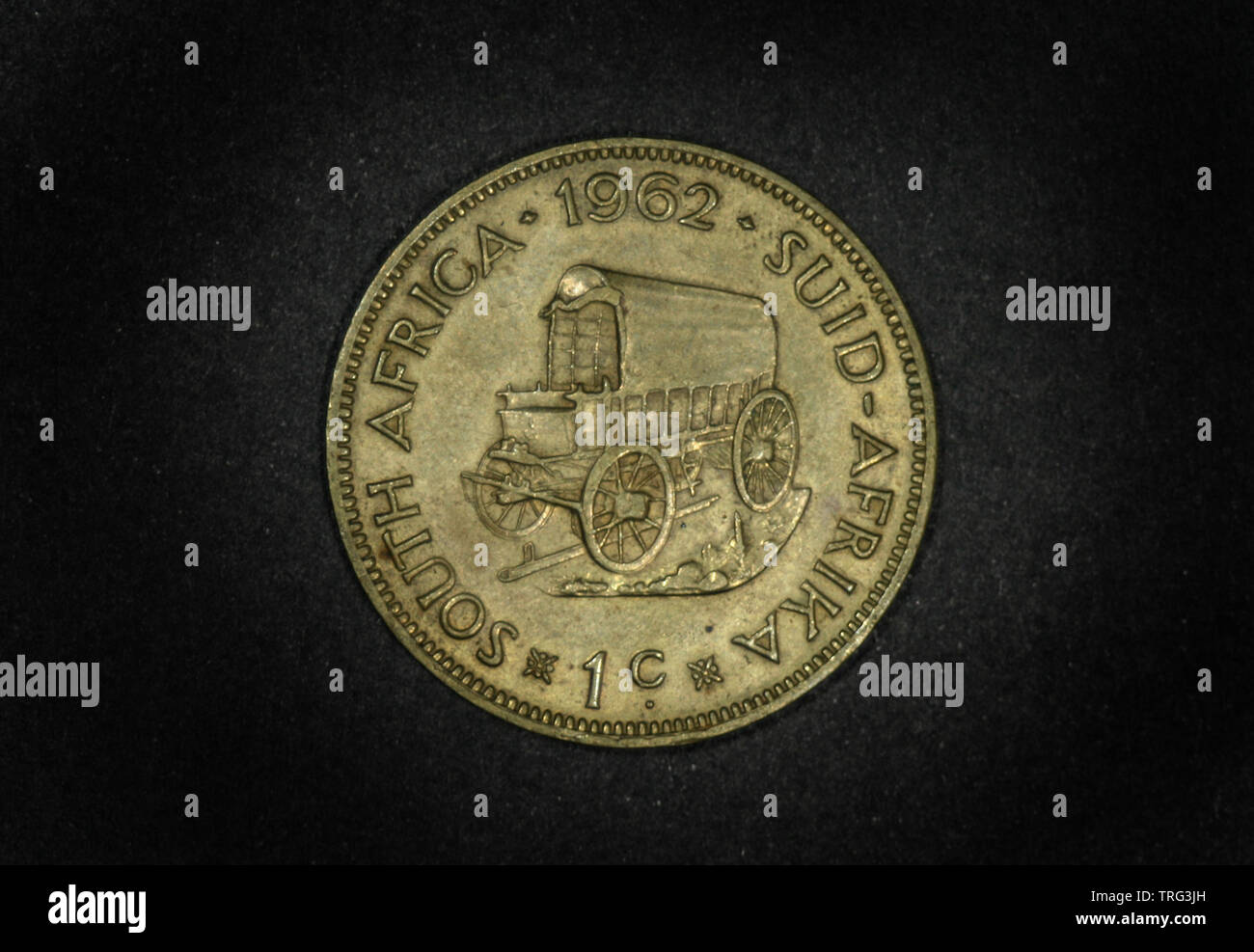 1 Cent Coin South Africa 1962 Stock Photo Alamy