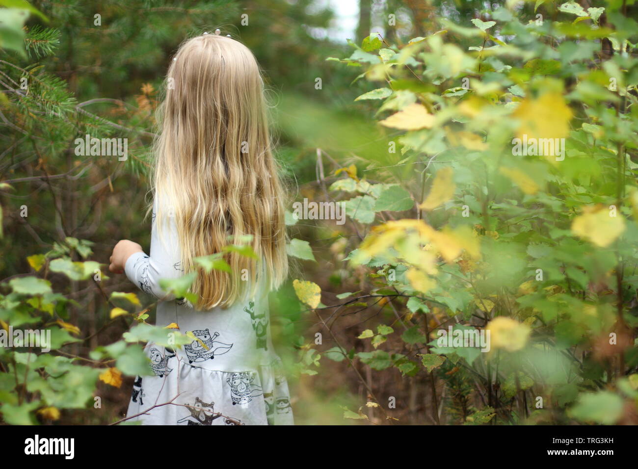 Little girl in a forest Stock Photo - Alamy