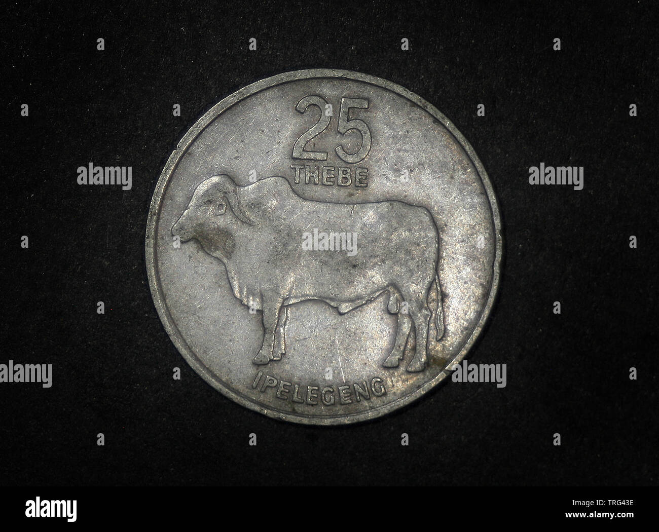 Botswana currency hi-res stock photography and images - Alamy