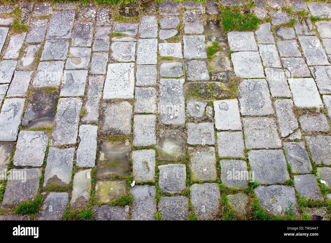 Typical old Tuscany paving made with carved stone blocks Stock Photo ...