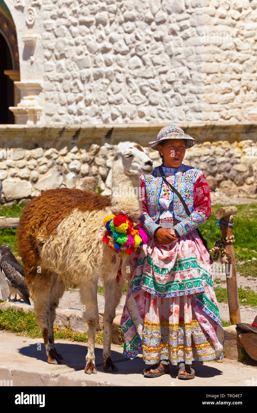 A lady and her Llama on the mountains of Peru Stock Photo - Alamy