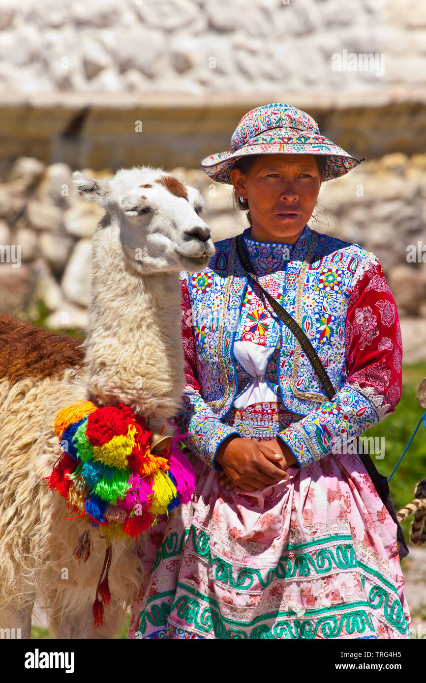 Cartoon lama hi-res stock photography and images - Alamy