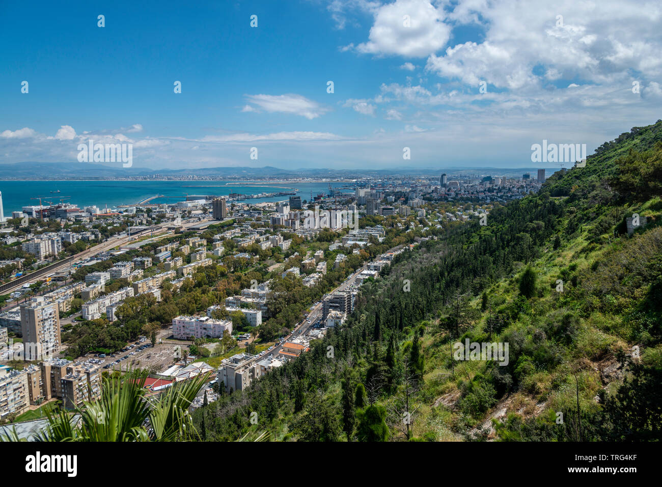 Haifa city and bay Stock Photo - Alamy
