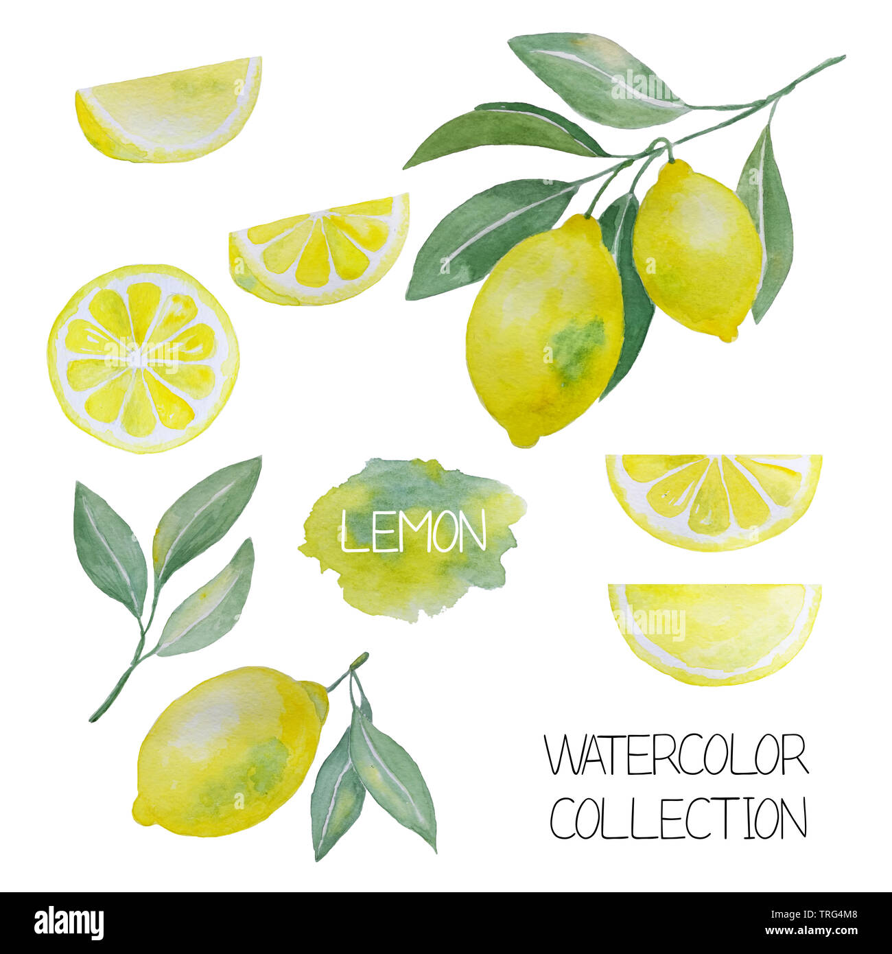 abstract hand drawn watercolor lemons, leaves and lemon slices, design ...