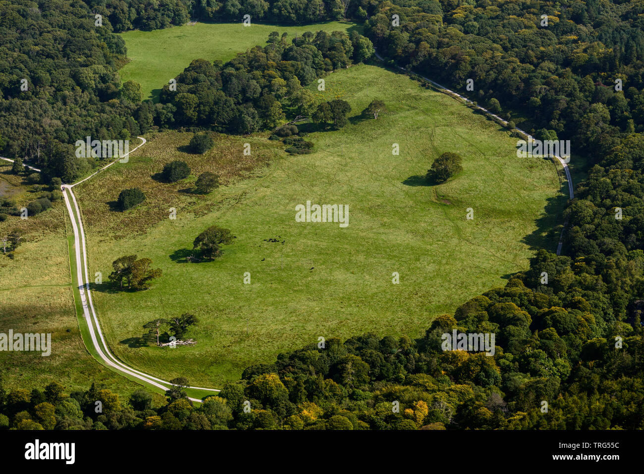Aerial view of round shaped meadow surrounded by trees from above as ...