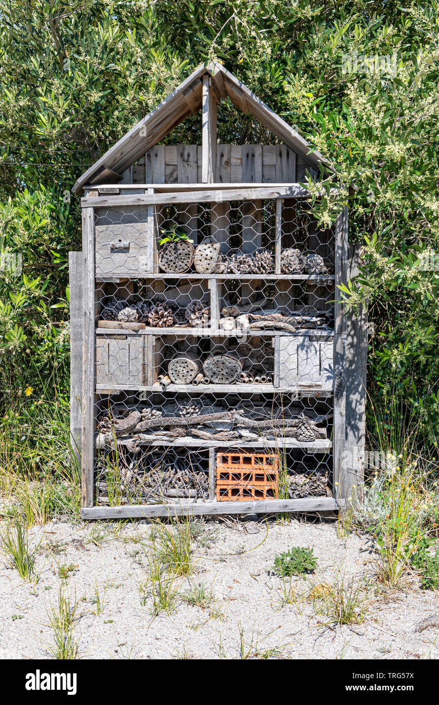 Protected insect hi-res stock photography and images - Alamy