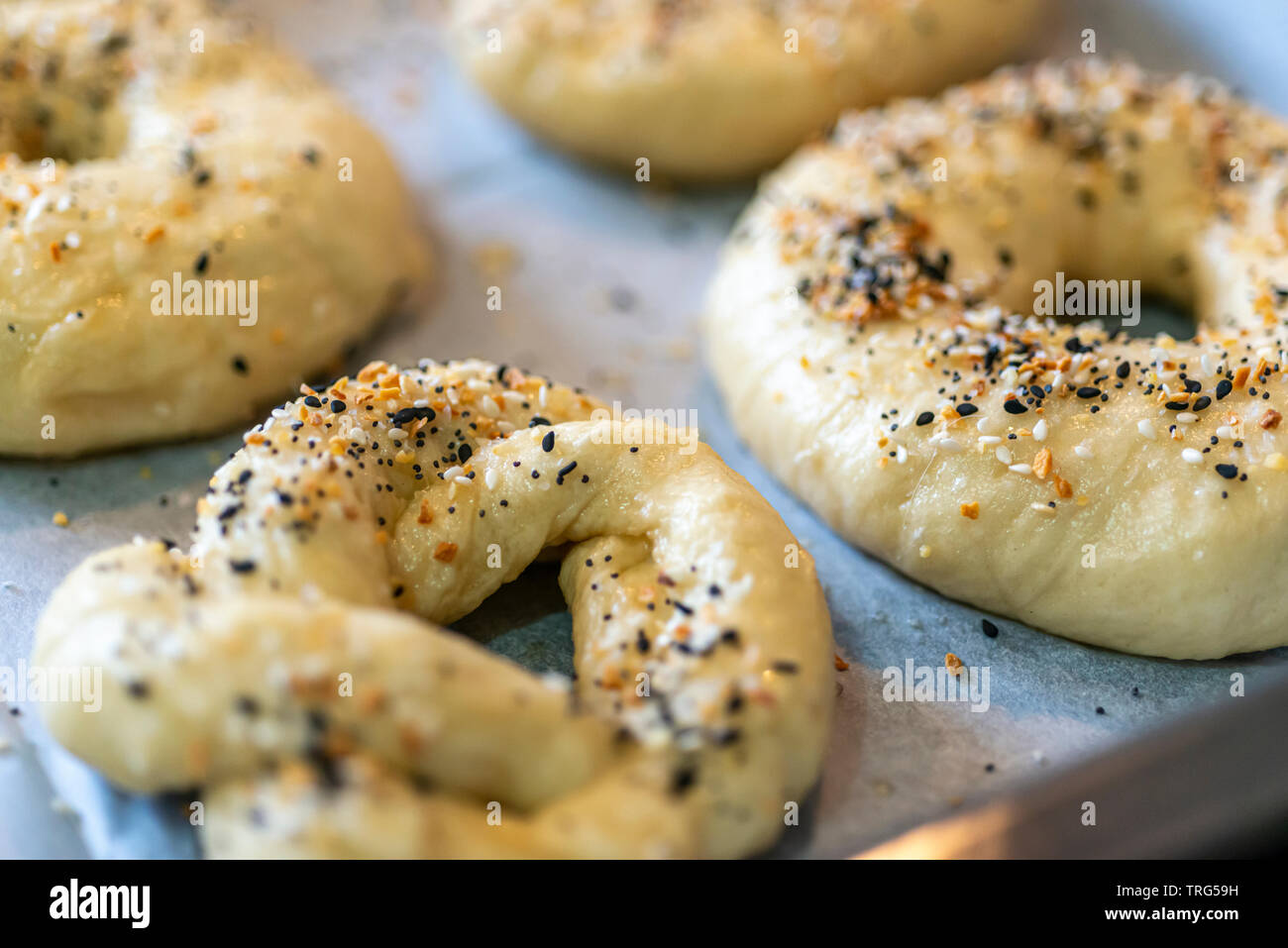 American bagel before being baked Stock Photo - Alamy