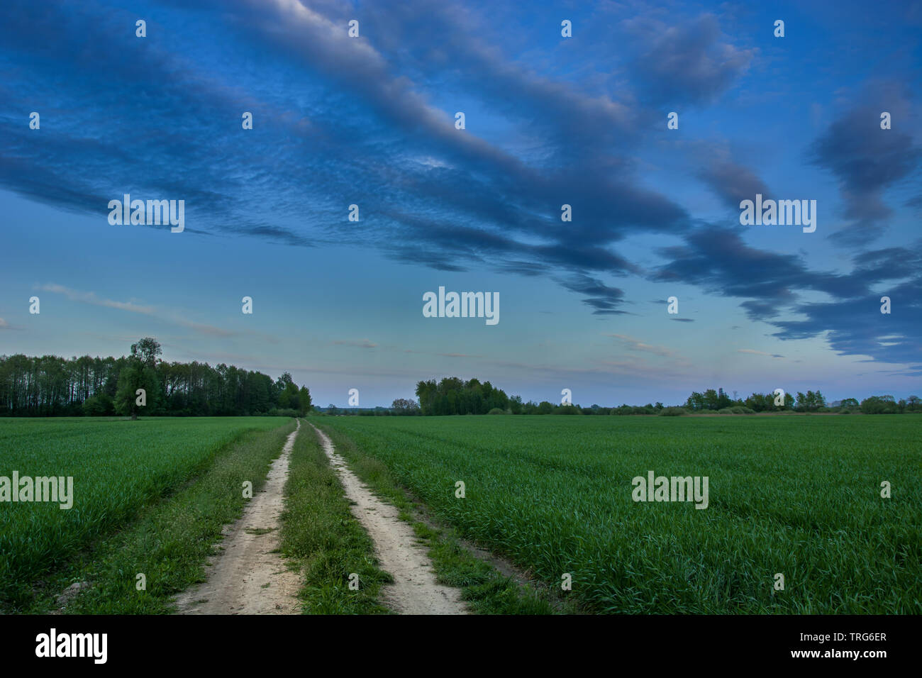Blue horizon hi-res stock photography and images - Alamy