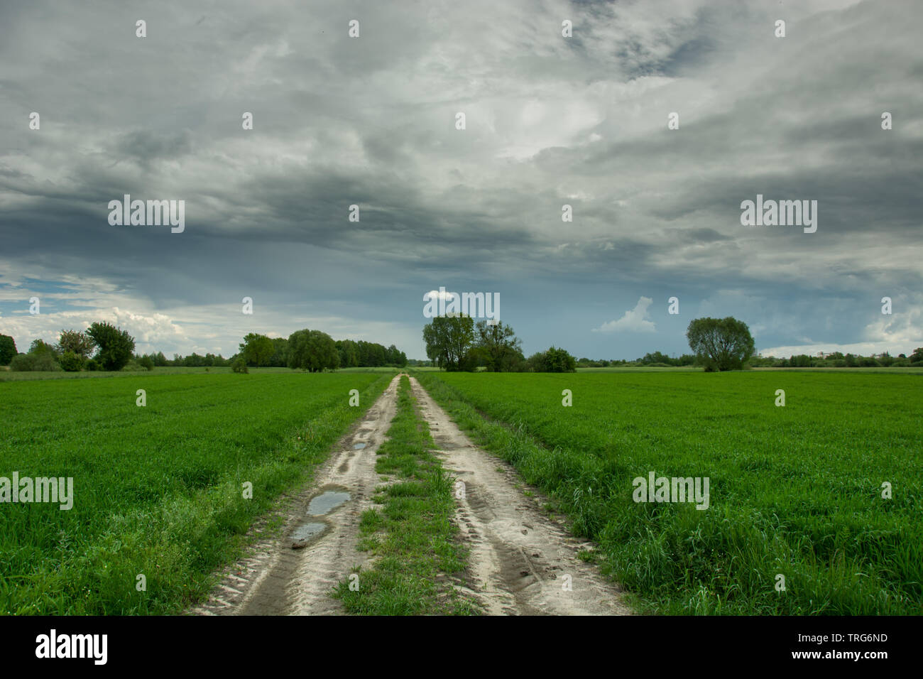 Straight dirt road through green fields, trees and dark rainy clouds ...