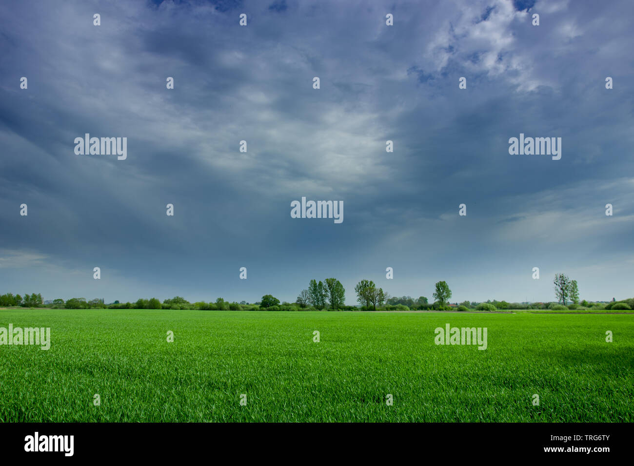 Rain clouds over horizon hi-res stock photography and images - Alamy
