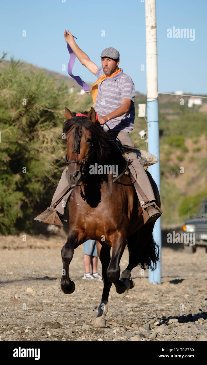Traditional horse ribbon racing at the Benamargosa Romeria ...
