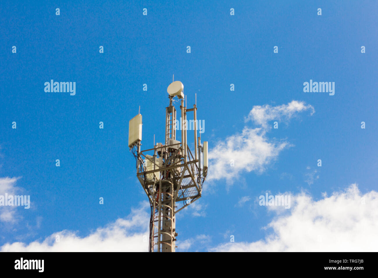 Cell signalling technology hi-res stock photography and images - Alamy