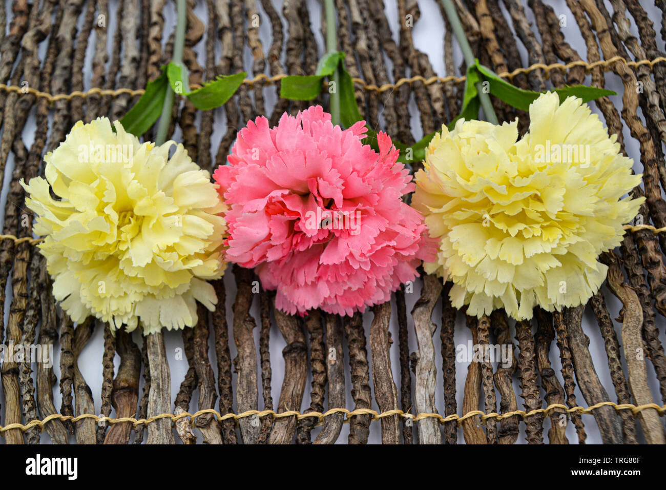 Dschungel blumen hi-res stock photography and images - Alamy