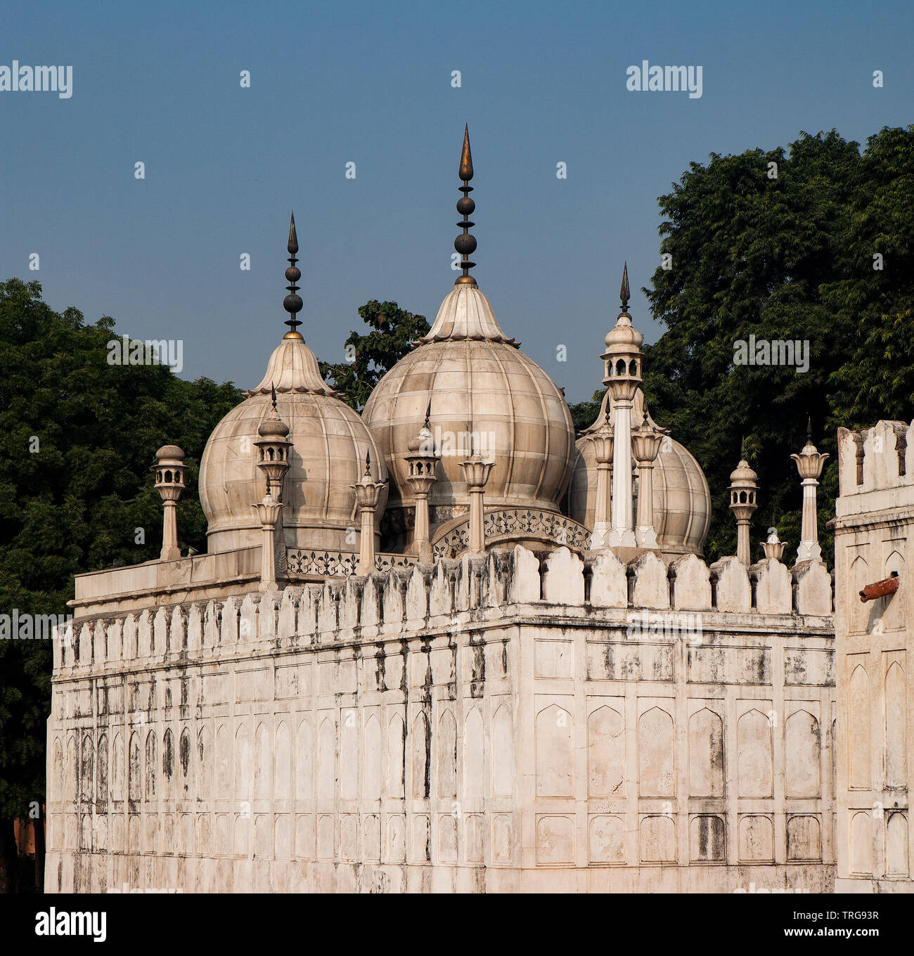 The Moti Masjid, or Pearl Mosque inside the Red Fort in Delhi, built of ...