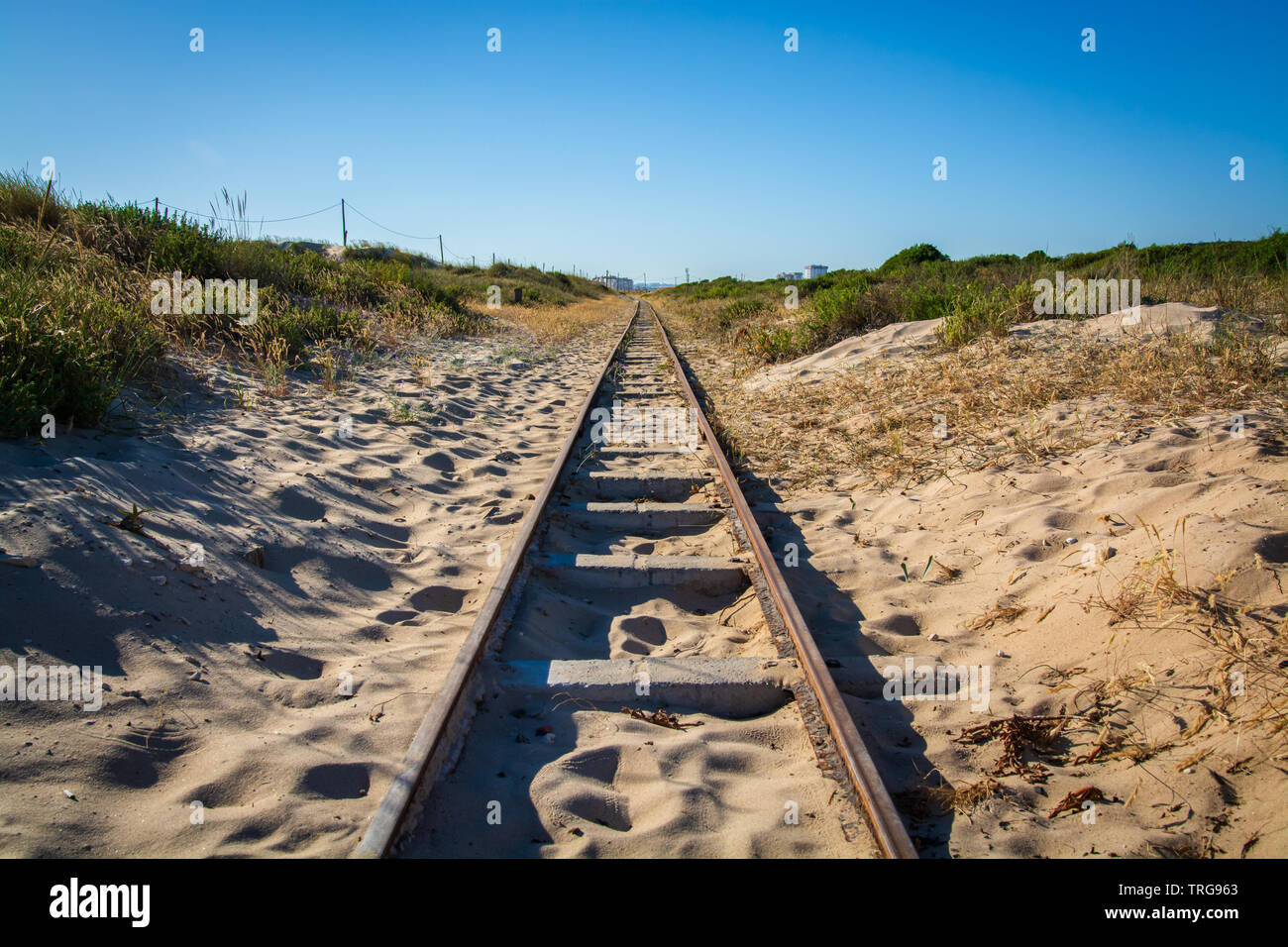 train track in sand dunes with green vegetation Stock Photo - Alamy