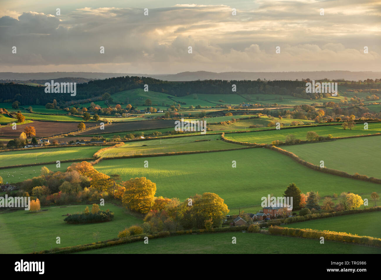 Autumn colours, Corton Denham, Somerset, England, UK Stock Photo - Alamy