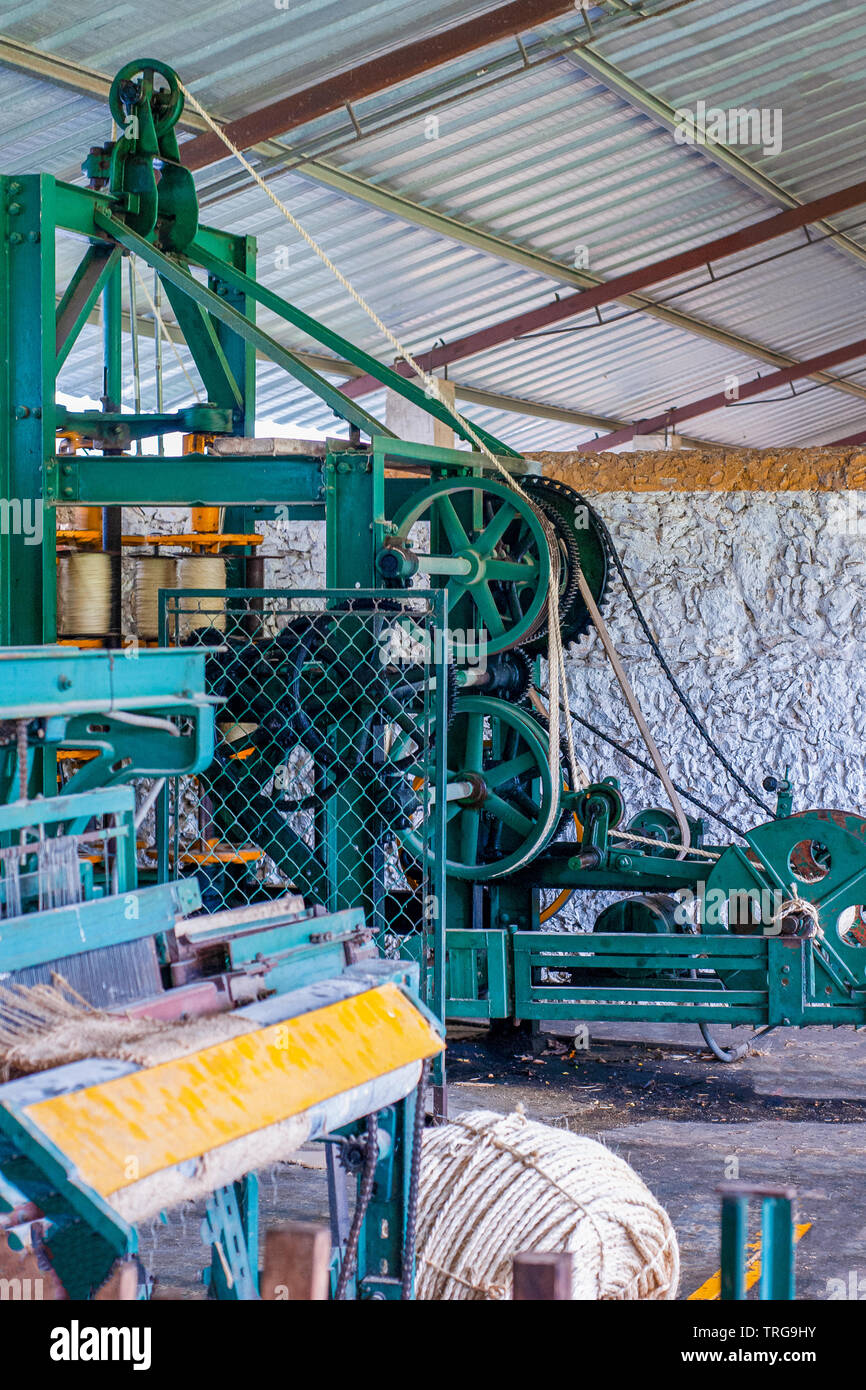 Agave fiber hi-res stock photography and images - Alamy