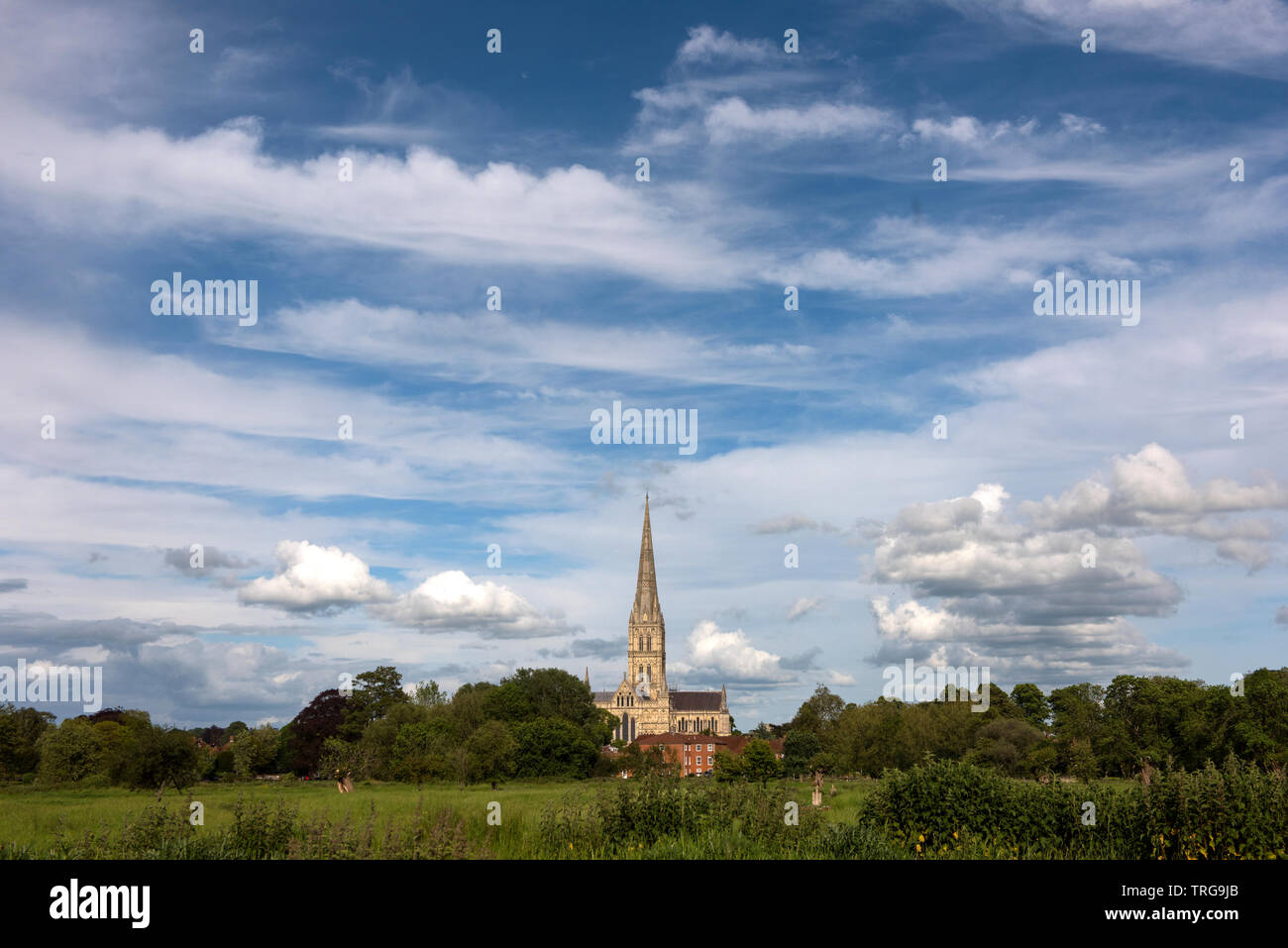 John constable salisbury cathedral hi-res stock photography and images ...